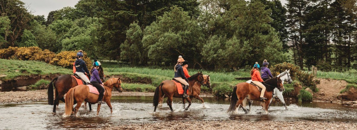 Calendar – Castle View Stables