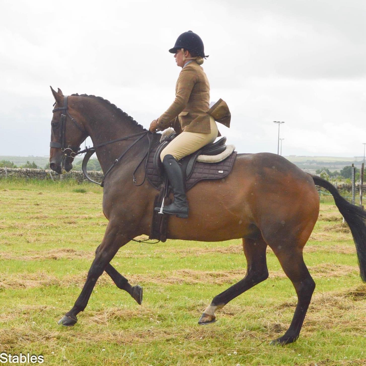 About Us – Castle View Stables