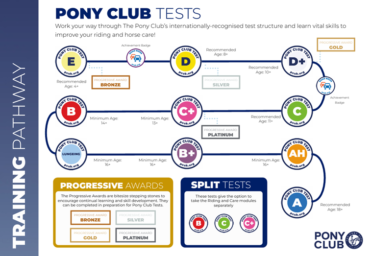 Pony Club -Page – Castle View Stables